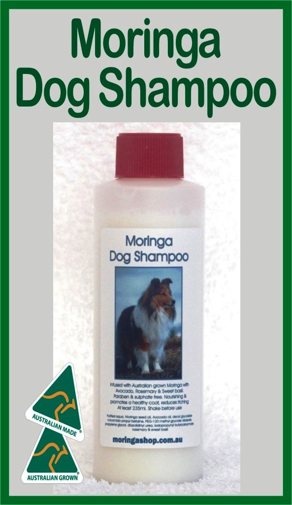 Moringa Animal Care Australian Moringa Farm Australia Cairns 2011-2023